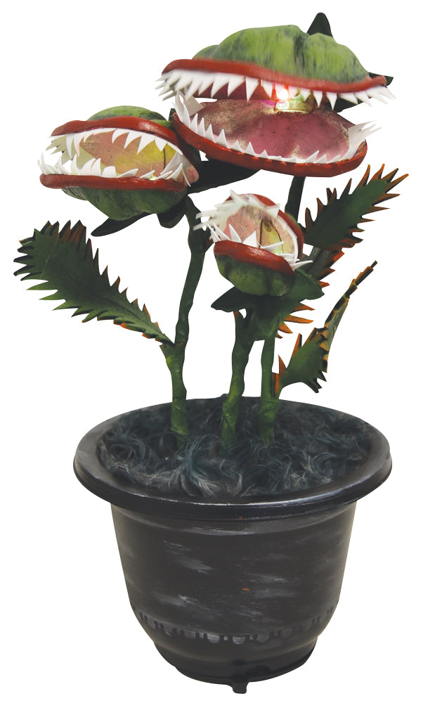 Chomper Flower – Halloween Hallway